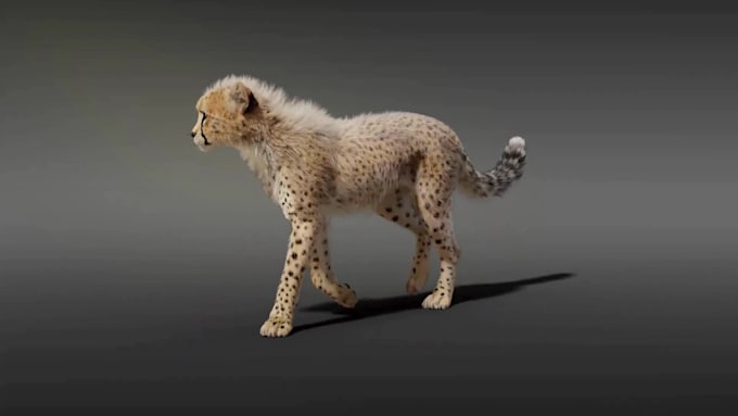 Create cgi animal animation, 3d character design, 3d animal rigging ...