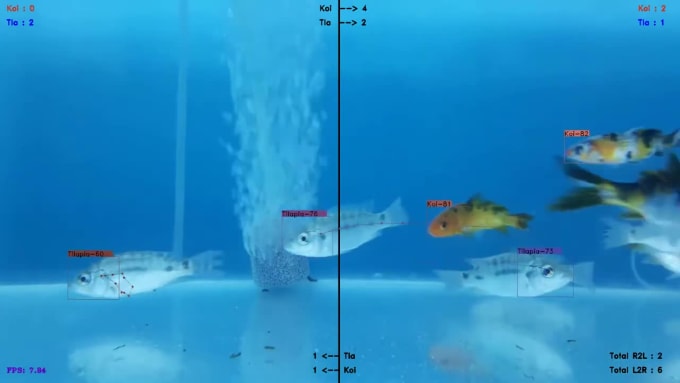 Object Detection Tracking Counting And Classification Using Yolo By