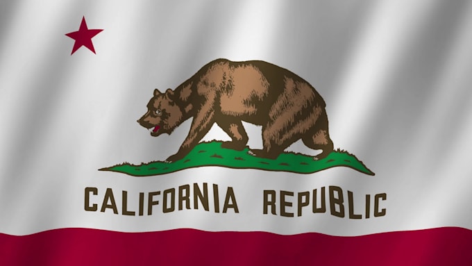 Create animation flag with your logo, text, image by Toprab | Fiverr