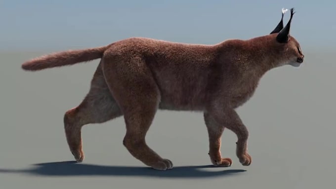 Render realistic 3d animal animation, 3d pet design, 3d character ...