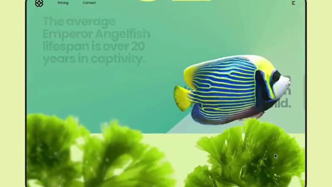 3d interactive web design on framer webflow spline animation 2d lottie ...