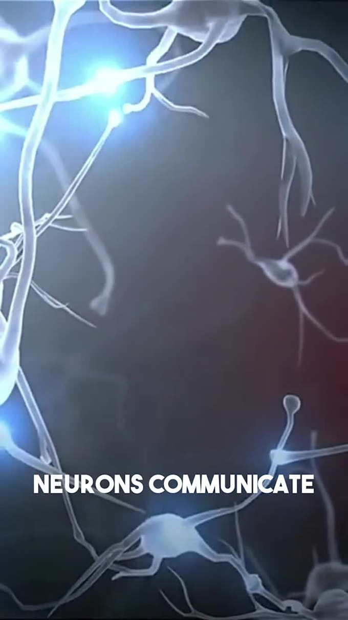 Do 3d medical visualization, 3d health anatomy, 3d surgery animation by ...