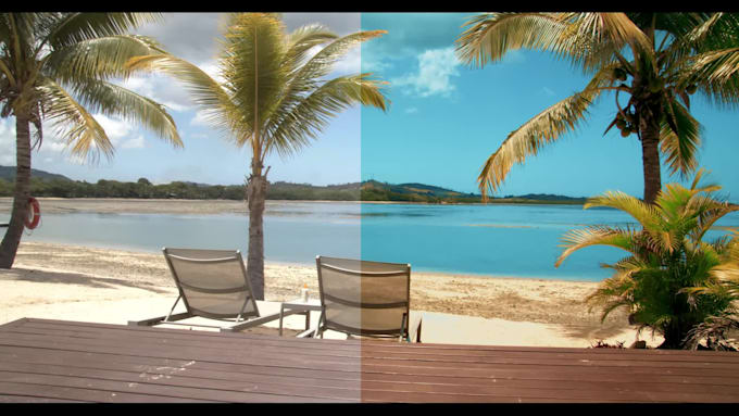 Color grade your video by Fallout_digital | Fiverr