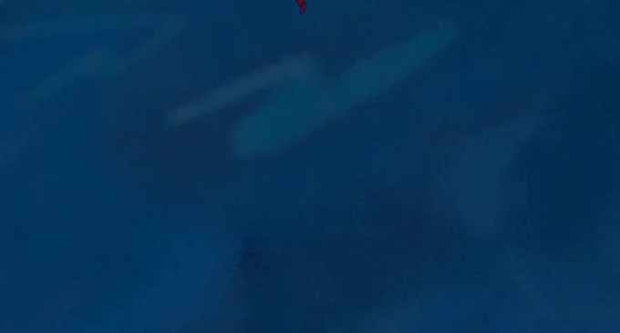 Cartoon music video, character animation, 2d music video, animated ...