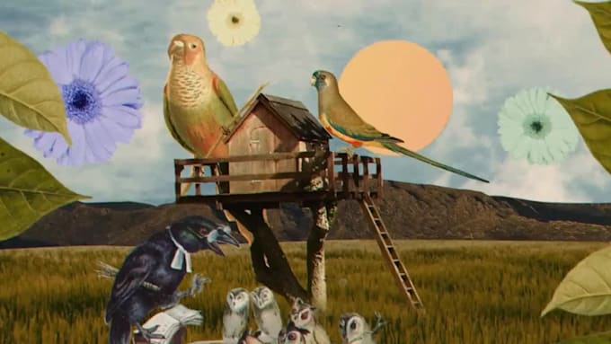 Do collage animation for your musical video, mixed media,collage motion ...