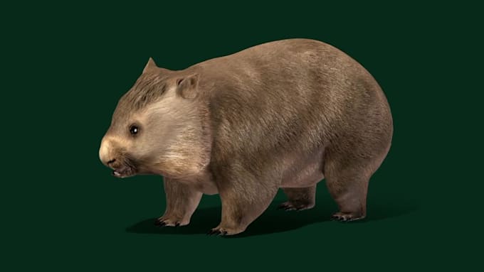 Create 3d animal character model,3d creature, realistic fur hair xgen ...