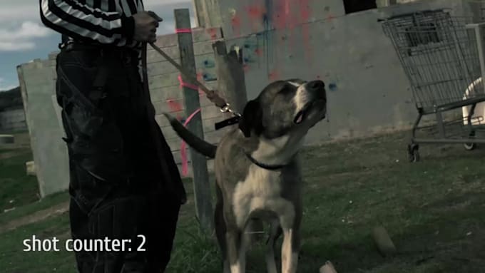 Provide stunning vfx within a budget by Vfxander | Fiverr