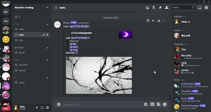 Make you an aesthetic discord server by Barackobama186 | Fiverr