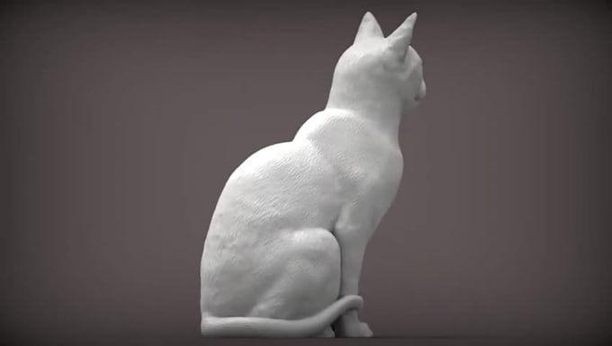 Do 3d animal model, animal animation, rig, texture with realistic xgen ...