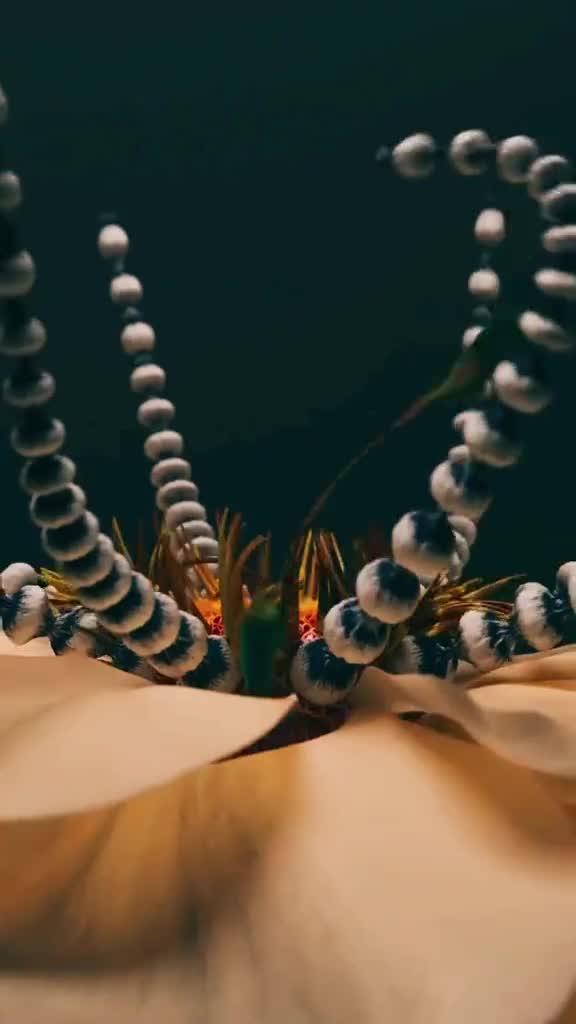 Make 8k flower vfx animation plant vfx 3d flower animation flower ...