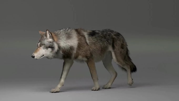 Do cgi animal animation, 3d animal model, 3d animal rigging, 3d ...