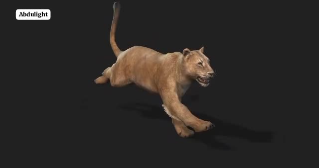 Do high quality 3d animal model, animal with xgen, fur, grooming hair ...