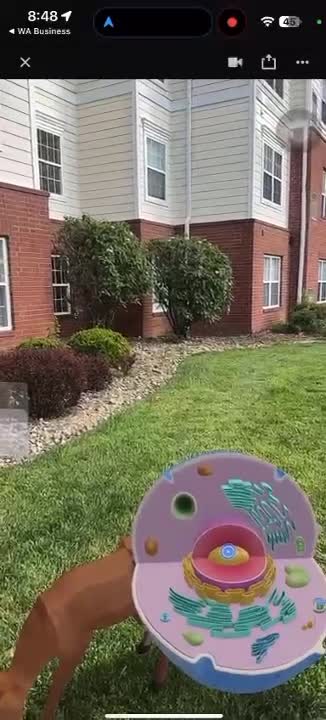 Teach you to create augmented reality projects no coding by Anybcd | Fiverr