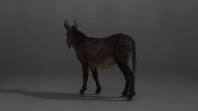 Create realistic 3d animal and creature models with fur in blender by ...