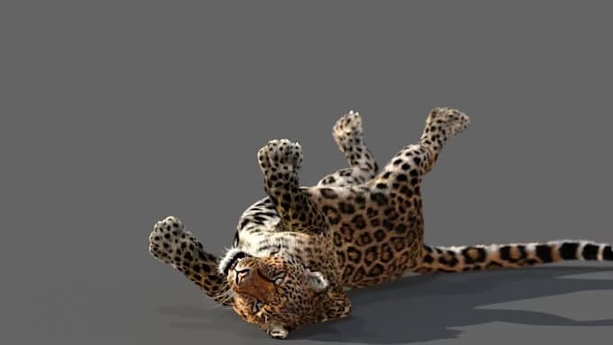 Do realistic 3d cgi animal animation, vfx compositing,3d animal modelling, cgi by Usman_cgi | Fiverr