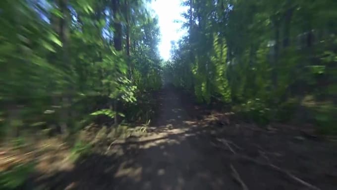 Make 3d game environment world map and level design in unity and blender by Liammason10 | Fiverr