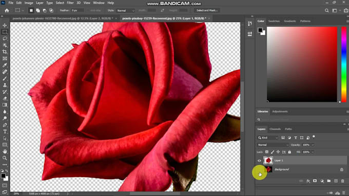 Remove background of your beautiful picture without losing quality by ...