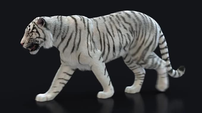 Make 3d animal animation, fully rigged 3danimal creatures, cgi animal ...