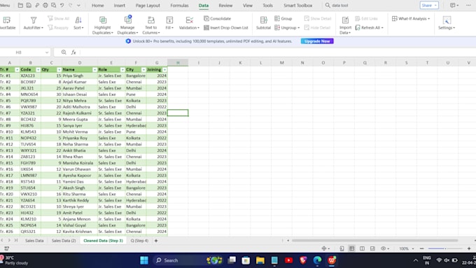Do expert data cleansing, formatting, organizing in 24hour by ...
