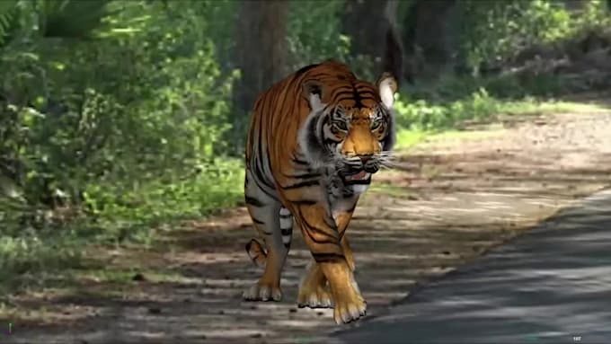 Do 3d animal animation, 3d animal design, 3d animal rigging, fur xgen ...