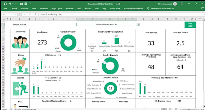 Professional dashboard creator in ms excel by Hirenjobanputra | Fiverr