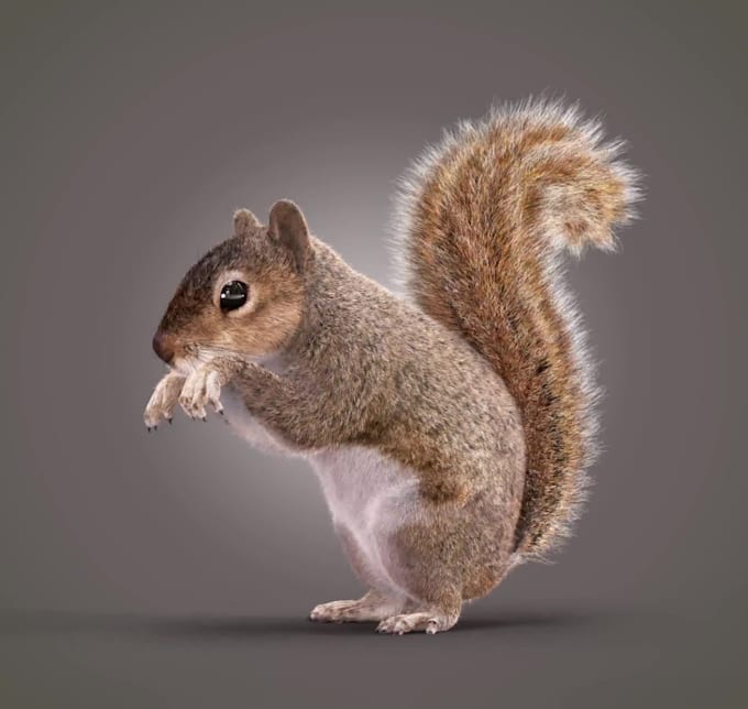 Create realistic animal model 3d animal fur xgen texture game film 3d ...