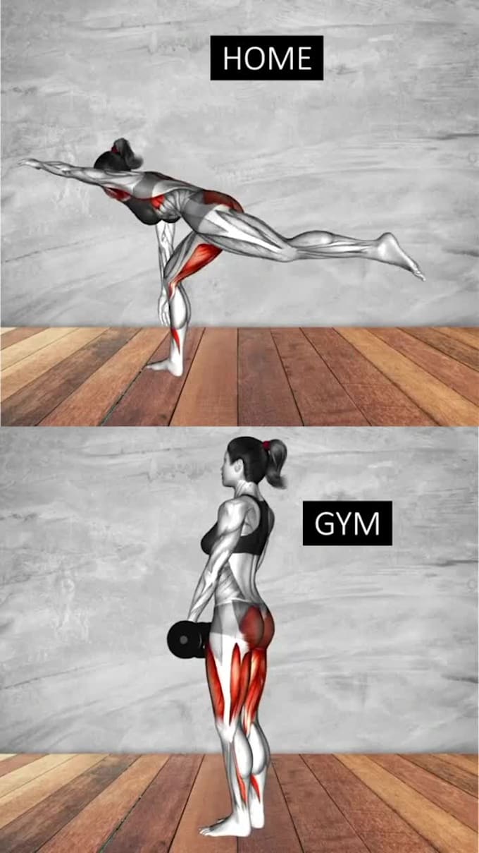 Do quality 3d workout animation, gym animation and exercise animation ...