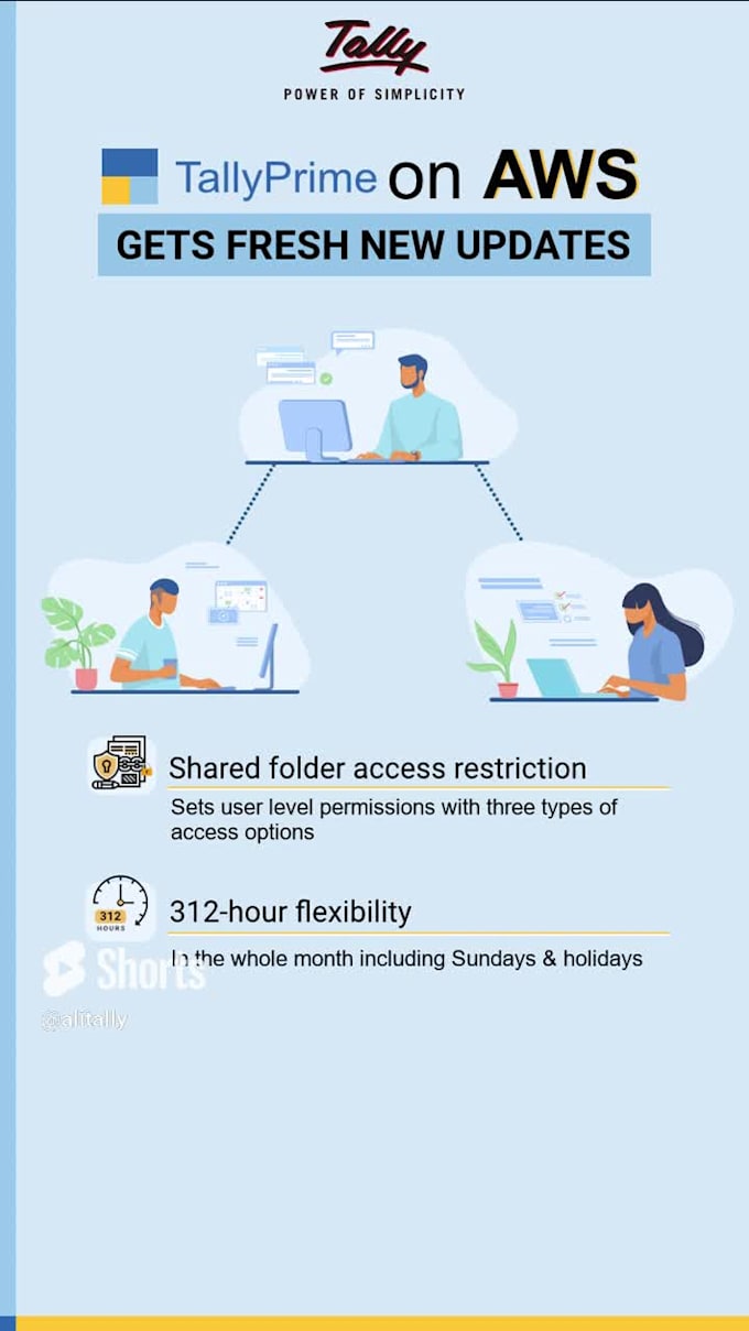 Do all the tally prime work online with reasonable by Alishekh2101 | Fiverr