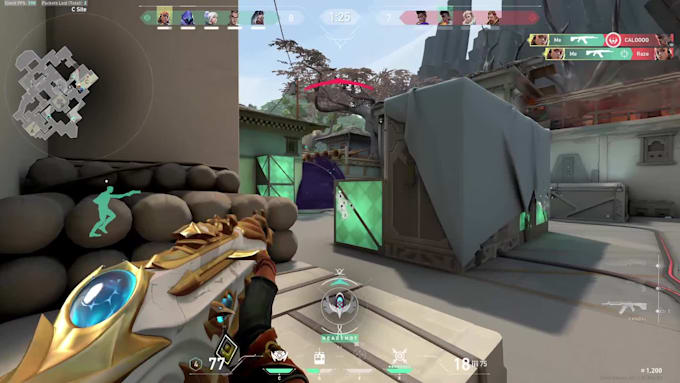 Be your radiant valorant coach by Xplash_ | Fiverr