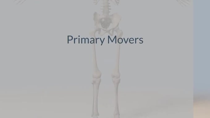 Do 3d medical animations for healthcare products, medical demonstration ...