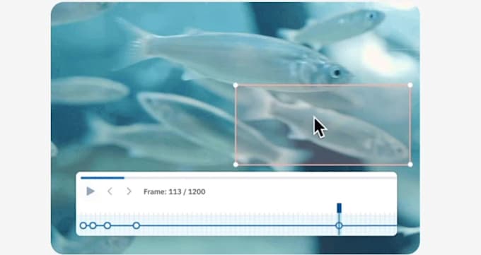 Expertly handle bounding boxes, image annotation and data labeling by Surajhaldar233 | Fiverr