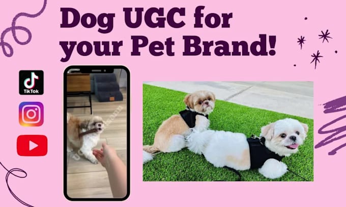 Create engaging ugc for your dog product or pet brand for tiktok by ...