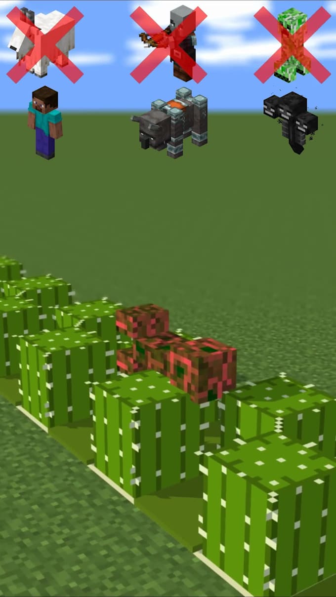 Create high quality level minecraft animation by Prince_joh1 | Fiverr