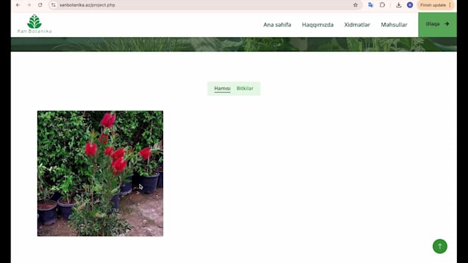 Create custom php solutions for your projects by Nigarmajidn | Fiverr