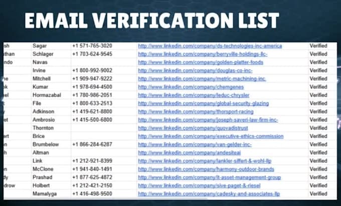 Verify clean bulk email lists for high performing campaigns by Margaret ...
