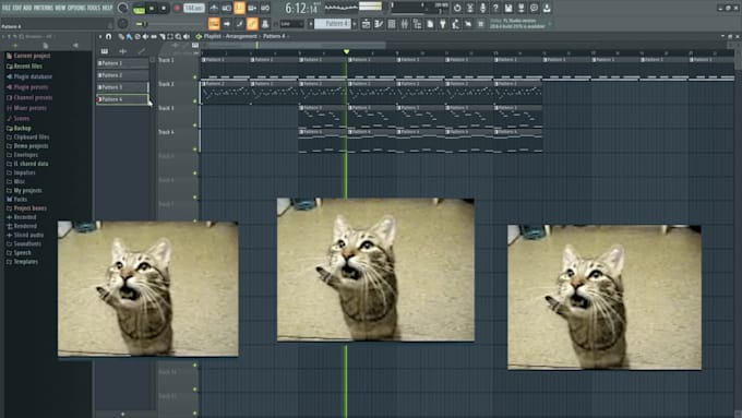 Create a cat version of any song by Tomii_dev | Fiverr