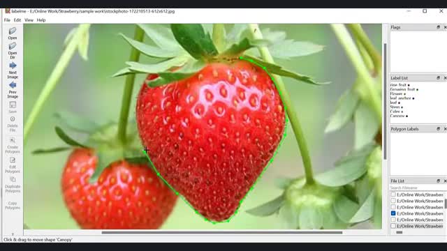 Do Data Annotation Bounding Box Text Annotate All Data Labeling For