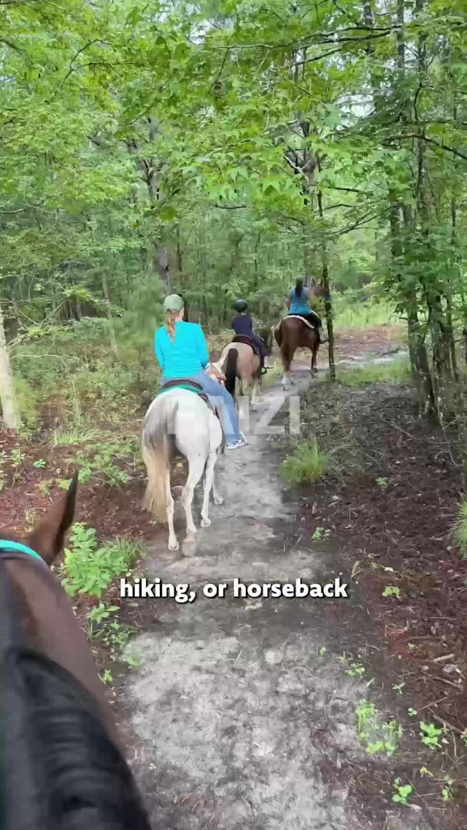 Crie animações de mapas no google earth studio para imóveis ou qualquer ...