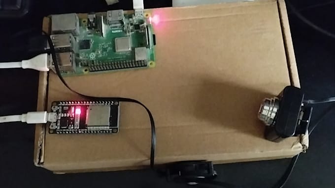 Write Firmware For Esp32xx Using Arduino Ide Esp Idf Arduino Programming By Luqman8230 Fiverr