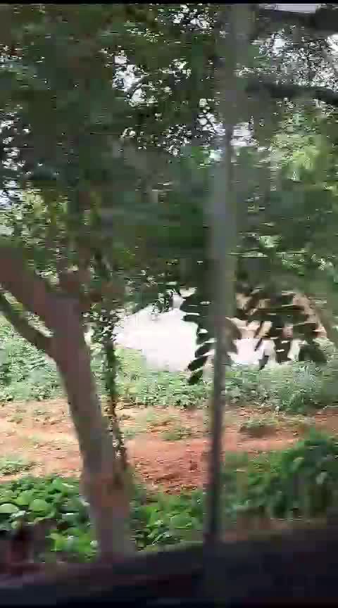 Do something really cool by Aaryamritraj | Fiverr