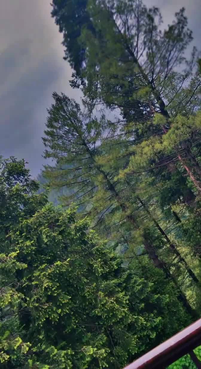 Elevate your visuals with adobe photoshop giving a realistic eye catchy result by Laiba_8242 ...