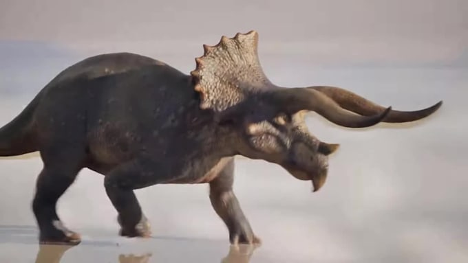 Do cgi animal animation, 3d animal model, vfx animation and model for ...