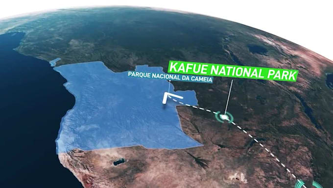 Create 3d earth route by Airweb | Fiverr