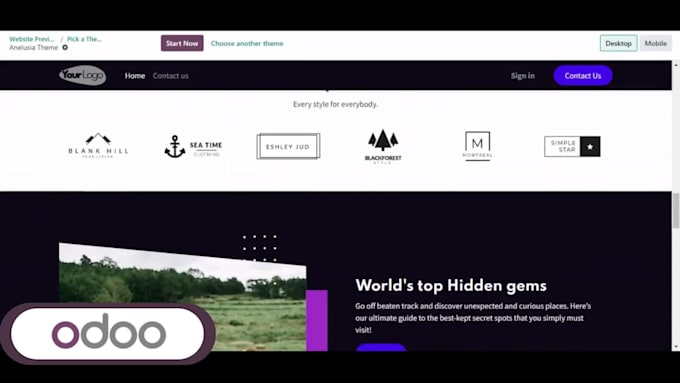 Design, integrate or customize odoo website, odoo ecommerce develop odoo module by Odoo_rose ...