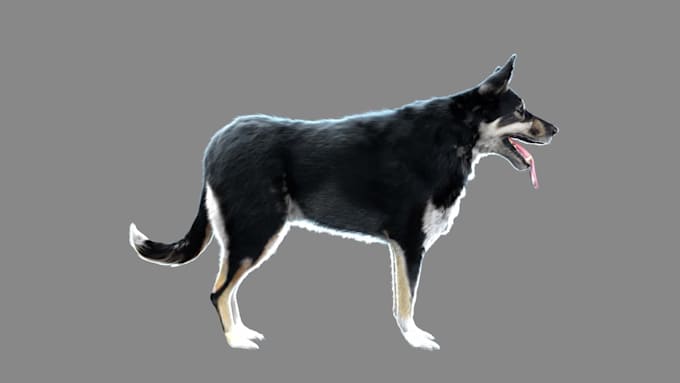 Create realistic character models from reference by Amelia2497 | Fiverr