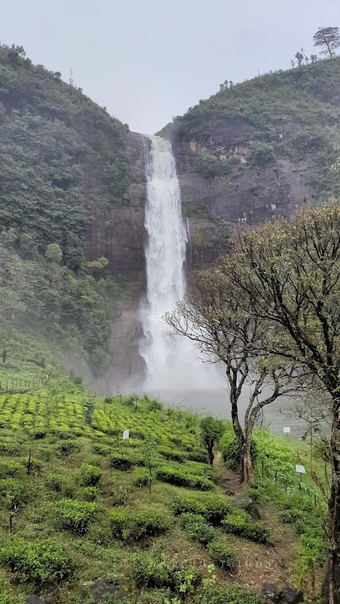 Create viral faceless youtube shorts and instagram reels by Imesh_karu ...