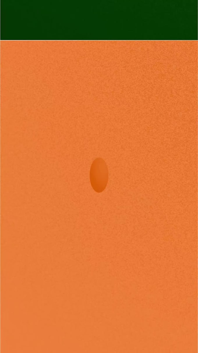 Create a logo animation for your company by Roro_graphics | Fiverr