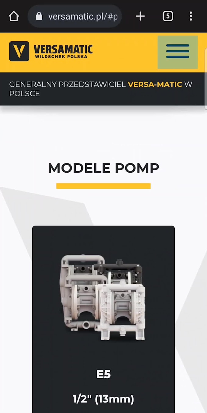 Beautiful and responsive landing pages and websites by Cieslinho | Fiverr