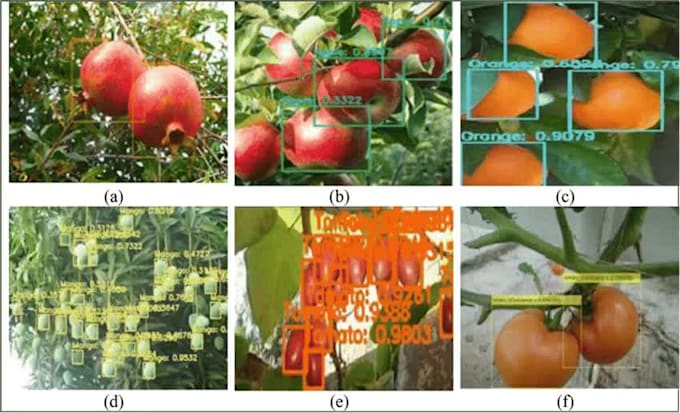 Do Object Detection Project Using Deep Learning By Abdul Rehman210 Fiverr
