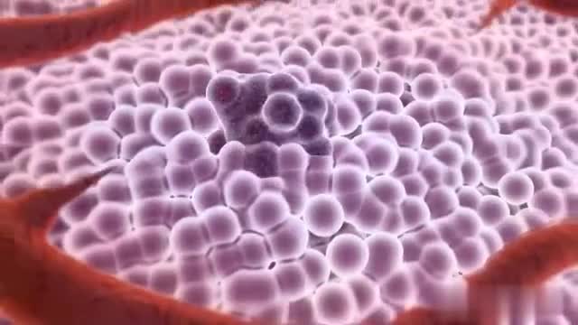 Create 3d biomedical animation, scientific animation, 3d medical ...